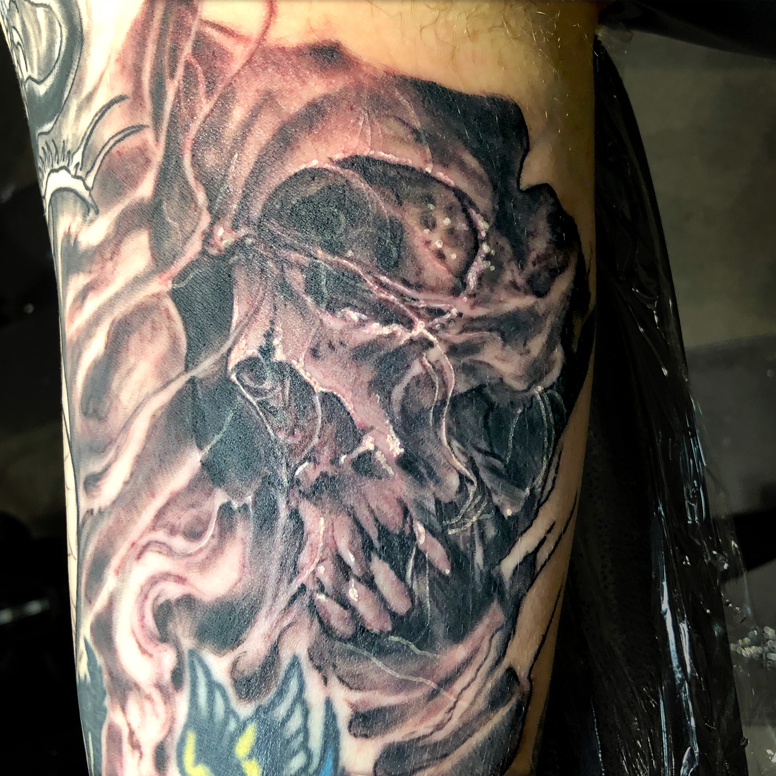 Degraded Skull – Eric Marts